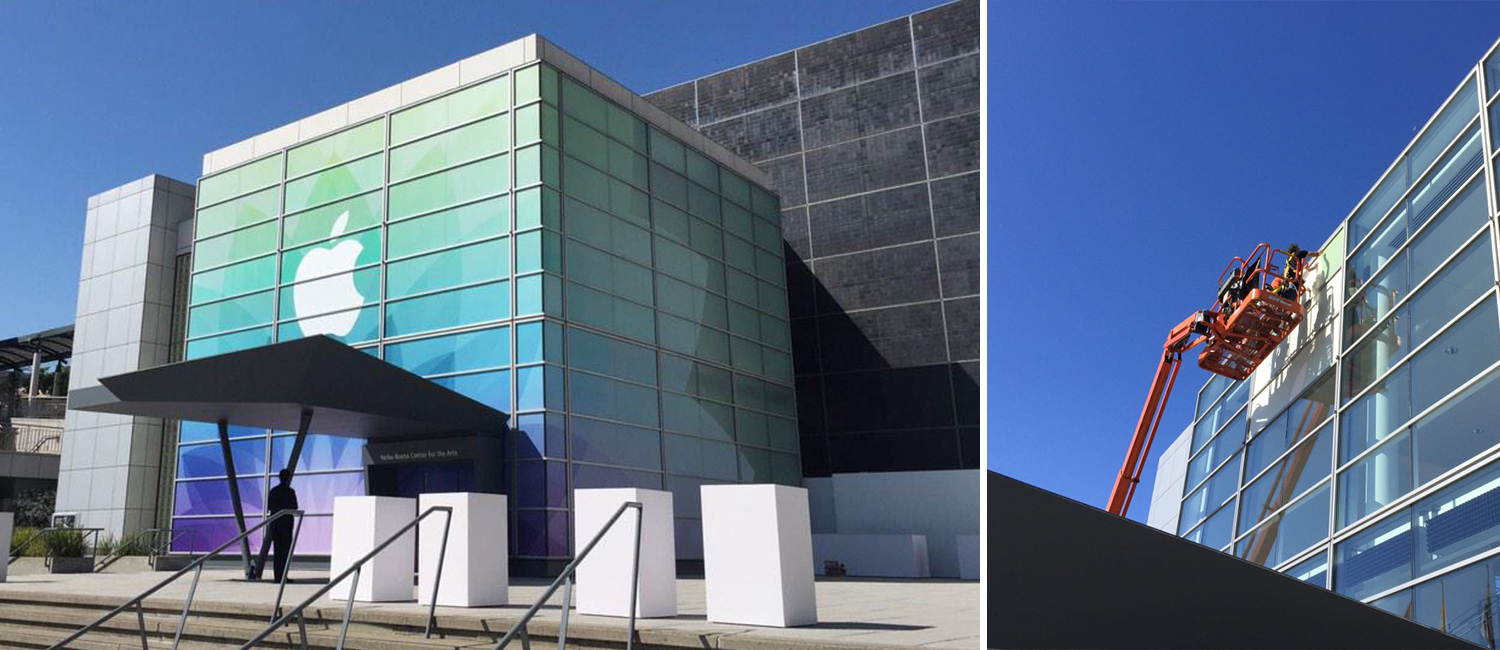 Elevate Your Brand and Privacy with Custom Window Films: What You Need ...